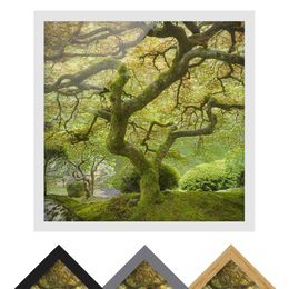 Wald Bild mit Rahmen Gr&uuml;ner Japanischer Garten