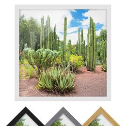 Natur & Landschaft Bild mit Rahmen Kakteen Landschaft