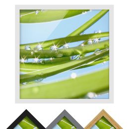 Blumen Bild mit Rahmen Fresh Green