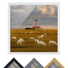 Natur & Landschaft Bild mit Rahmen Nordsee Leuchtturm mit Schafsherde
