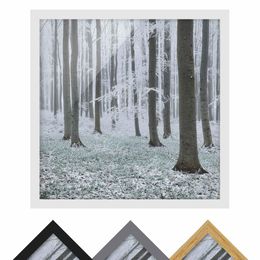 Natur & Landschaft Bild mit Rahmen Buchen mit Rauhreif