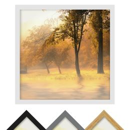 Wald Bild mit Rahmen Herbstmorgen