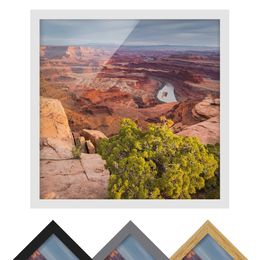 Natur & Landschaft Bild mit Rahmen Dead Horse Point Canyonlands National Park USA