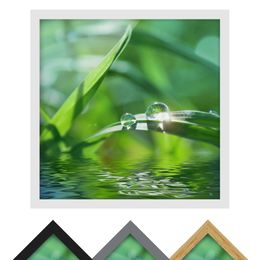 Blumen Bild mit Rahmen Green Ambiance II