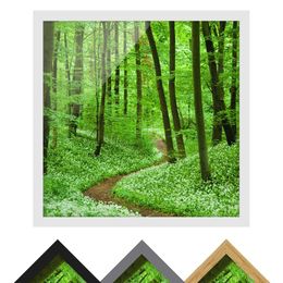 Wald Bild mit Rahmen Romantischer Waldweg