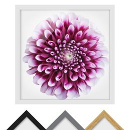 Blumen Bild mit Rahmen Aster