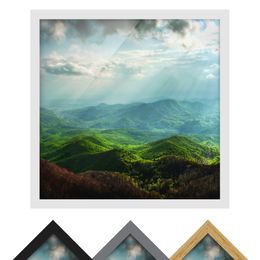 Wald Bild mit Rahmen Heavenly Ground