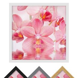Blumen Bild mit Rahmen Rosa Orchideen auf Wasser