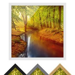 Wald Bild mit Rahmen Herbstwald