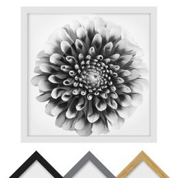 Blumen Bild mit Rahmen Aster II