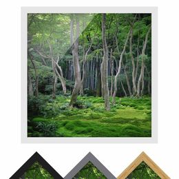 Wald Bild mit Rahmen Japanischer Wald