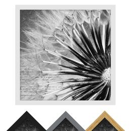 Blumen Bild mit Rahmen Pusteblume Schwarz & Wei&szlig;