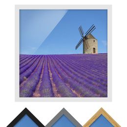 Architektur & Skyline Bild mit Rahmen Lavendelduft in der Provence