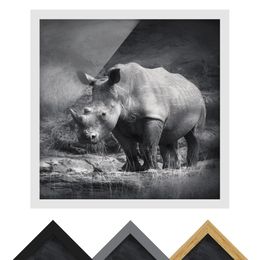 Schwarz-Wei&szlig; Bild mit Rahmen Lonesome Rhinoceros
