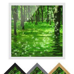 Wald Bild mit Rahmen Morgenzauber