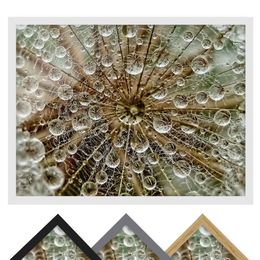 Natur & Landschaft Bild mit Rahmen Pusteblume im Herbst