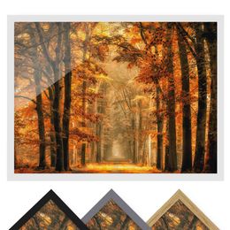Natur & Landschaft Bild mit Rahmen M&auml;rchenwald im Herbst
