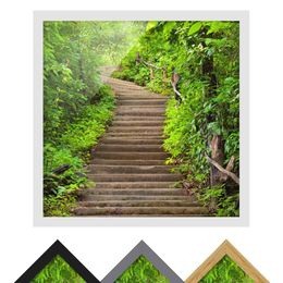 Natur & Landschaft Bild mit Rahmen Treppenaufstieg im Wald