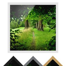 Natur & Landschaft Bild mit Rahmen Verborgene Lichtung