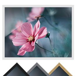 Blumen Bild mit Rahmen Marienk&auml;fer beim Start