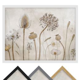 Blumen Bild mit Rahmen Growing Old