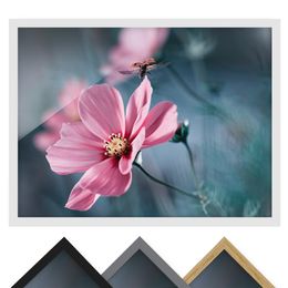 Blumen Bild mit Rahmen Marienk&auml;fer beim Start