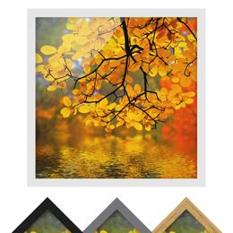 Natur & Landschaft Bild mit Rahmen Touching the Water