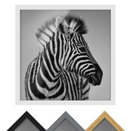 Schwarz-Wei&szlig; Bild mit Rahmen Zebra Baby Portrait II