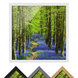 Natur & Landschaft Bild mit Rahmen Wanderweg in Hertfordshire