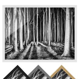 Schwarz-Wei&szlig; Bild mit Rahmen Geisterwald