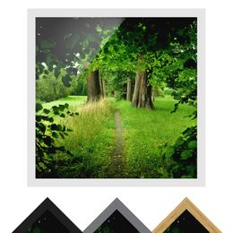 Natur & Landschaft Bild mit Rahmen Verborgene Lichtung