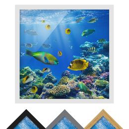 Natur & Landschaft Bild mit Rahmen Underwater Lights