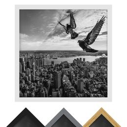 Architektur & Skyline Bild mit Rahmen Tauben auf dem Empire State Building