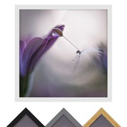 Blumen Bild mit Rahmen Purple Rain