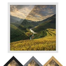 Natur & Landschaft Bild mit Rahmen Reisplantagen in Vietnam