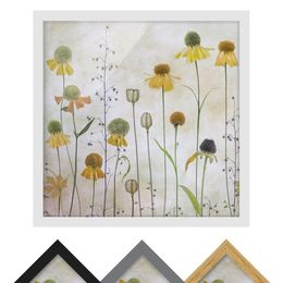Blumen Bild mit Rahmen Zarte Helenium Bl&uuml;ten