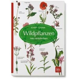 BLV Buchverlag Wildpflanzen neu entdecken