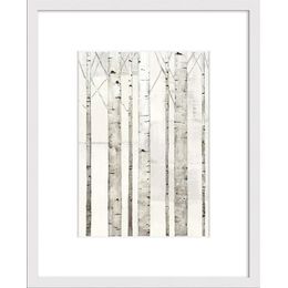 ars graphica Smart-Art 52x42cm - Avery Tillmon: Birch Trees on White I