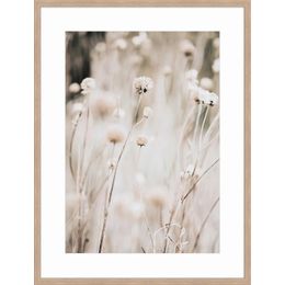 ars graphica Individual-Art - Sence Photography: Rustle