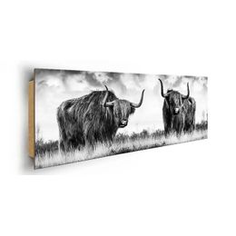 ars graphica Panorama-Panel - Panorama-Panel: Scottish Highland Cow