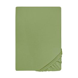 biberna Feinjersey-Spannbetttuch fichte 1x 90x190 cm - 100x200 cm