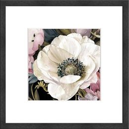 ars graphica Smart-Art 42x42cm - Carol Robinson: Anemone Study II