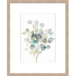 ars graphica Smart-Art 52x42cm - Danhui Nai: Eucalyptus III