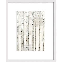ars graphica Smart-Art 52x42cm - Avery Tillmon: Birch Trees on White II