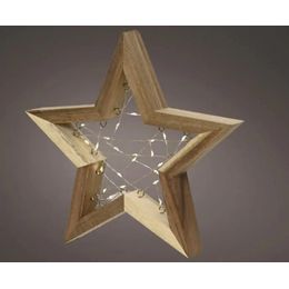 Kaemingk Micro LED Sternbeleuchtung