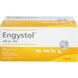 Heel Engystol ad us.vet.Ampullen 50 St