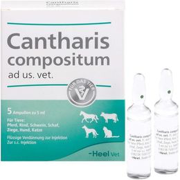 Heel Cantharis Compositum ad us.vet.Ampullen 5 St