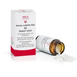 WALA Arnica E Planta tota D 6 Globuli 20 g