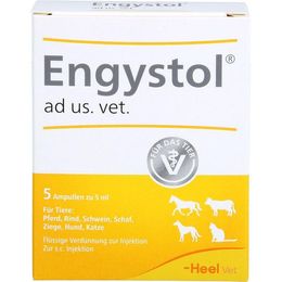 Heel Engystol ad us.vet.Ampullen 5 St