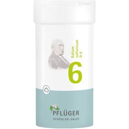 Pfl&uuml;ger&reg; Biochemie Pfl&uuml;ger 6 Kalium sulfuricum D 6 Pulver 100 g